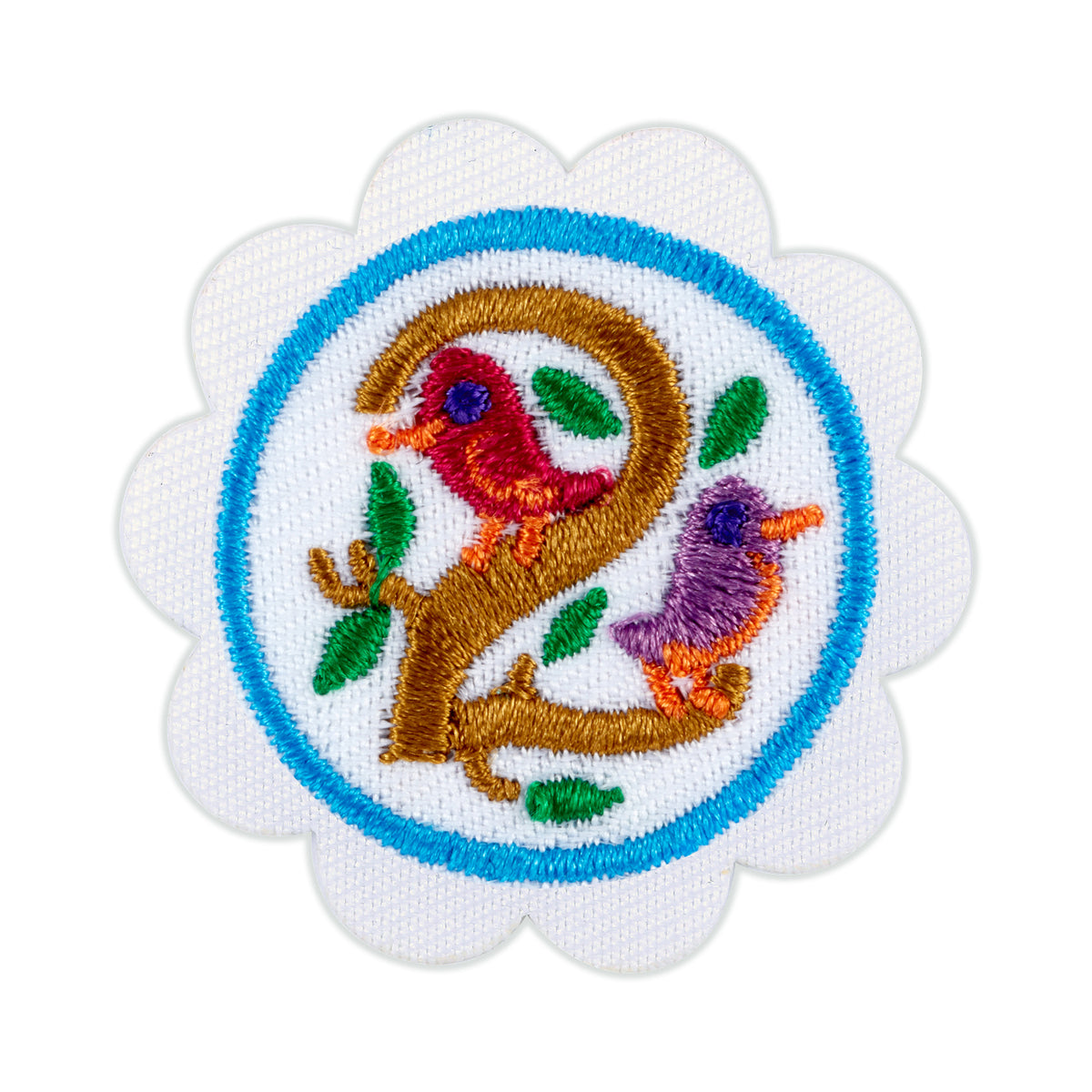 Daisy Numbers in Nature Badge – Overseas Girl Scout World Shop