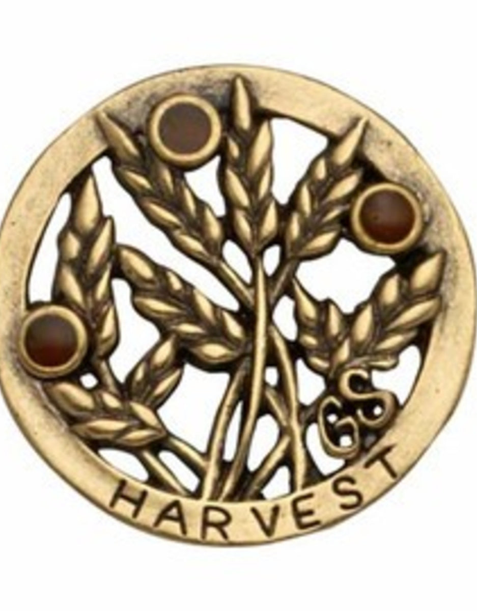 Sow What? Senior Journey Award Pin – Overseas Girl Scout World Shop
