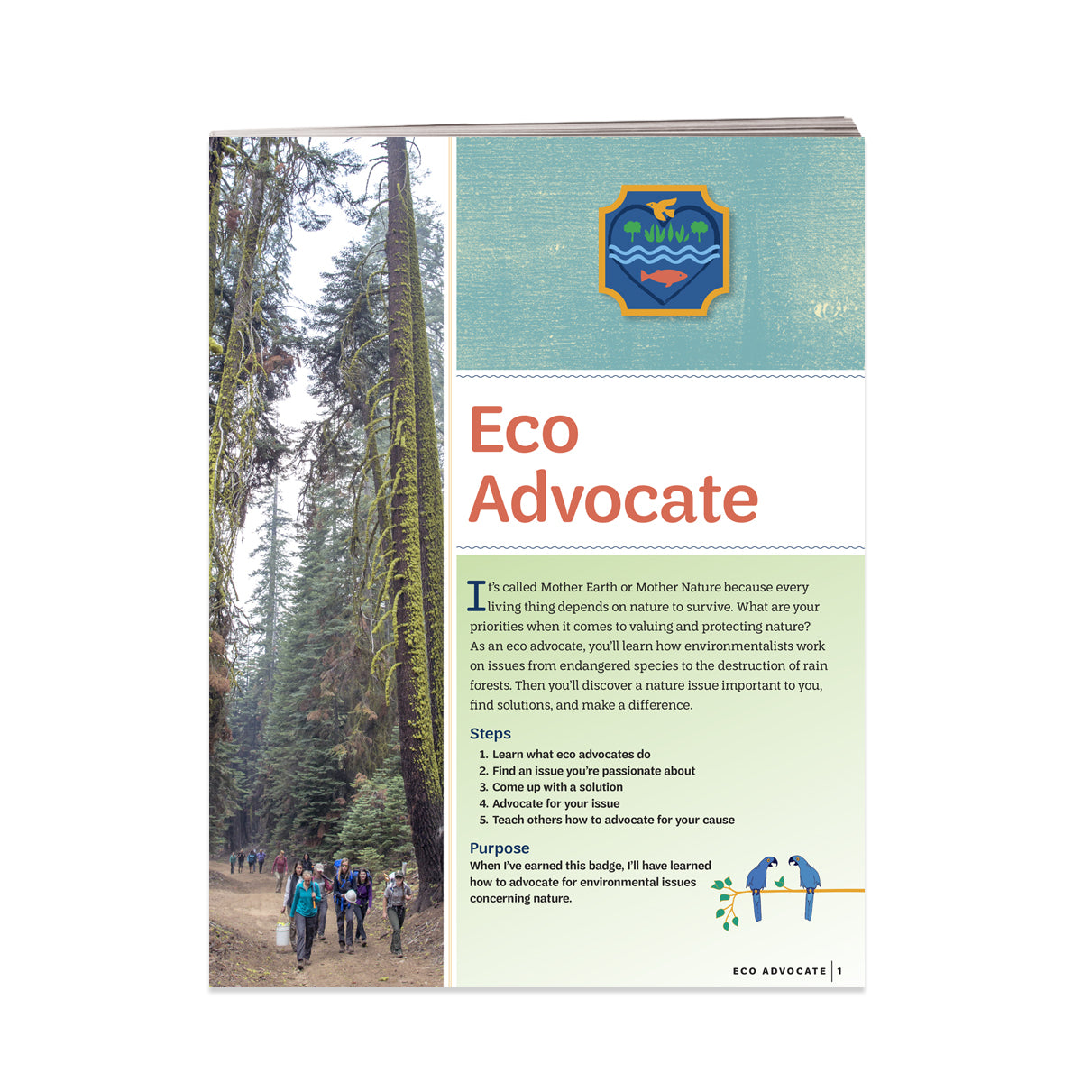Ambassador Eco Advocate Badge Requirements Pamphlet – Overseas Girl ...