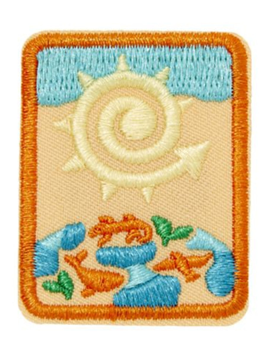 Senior Eco Explorer Badge – Overseas Girl Scout World Shop