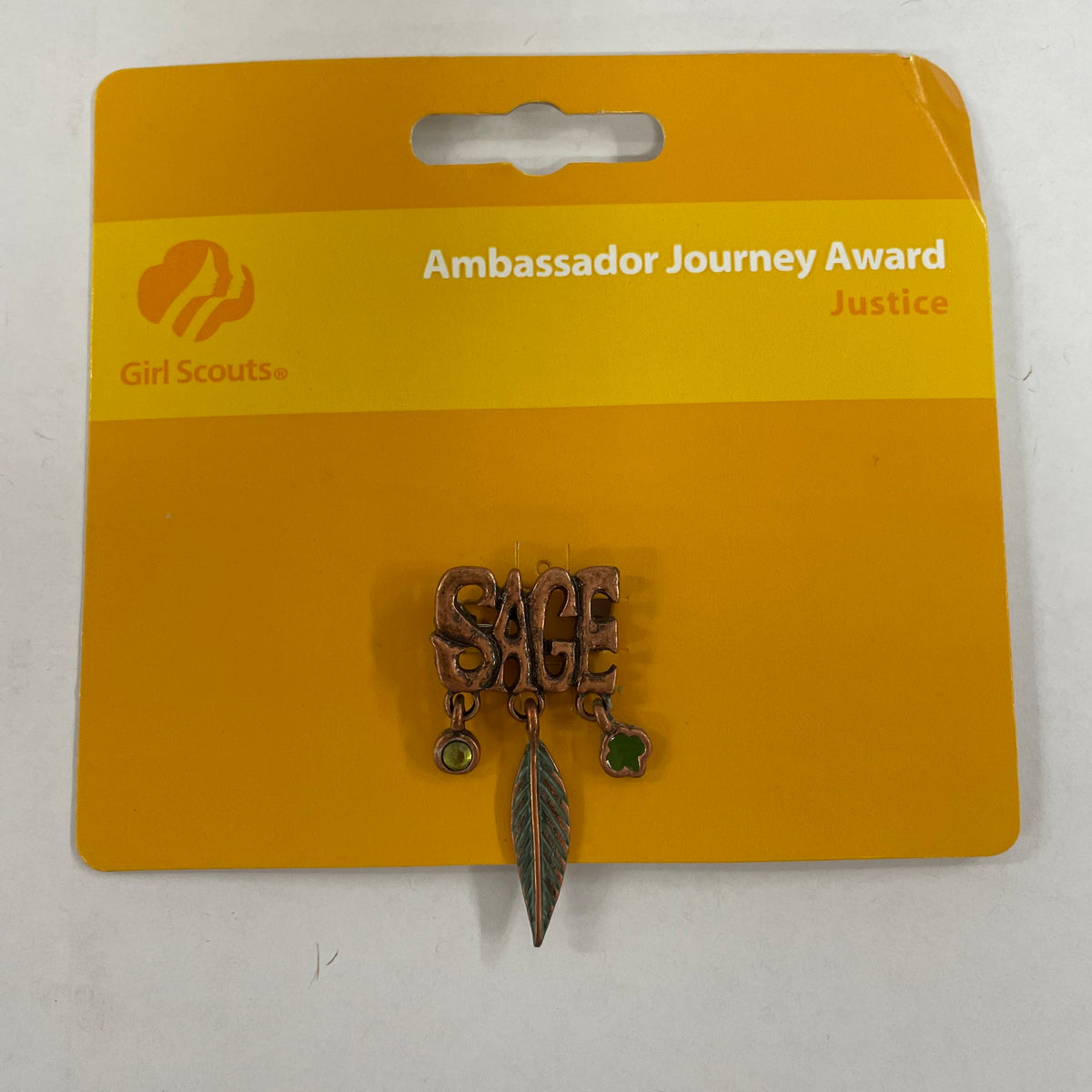 Ambassador Justice Journey Award Pin – Overseas Girl Scout World Shop